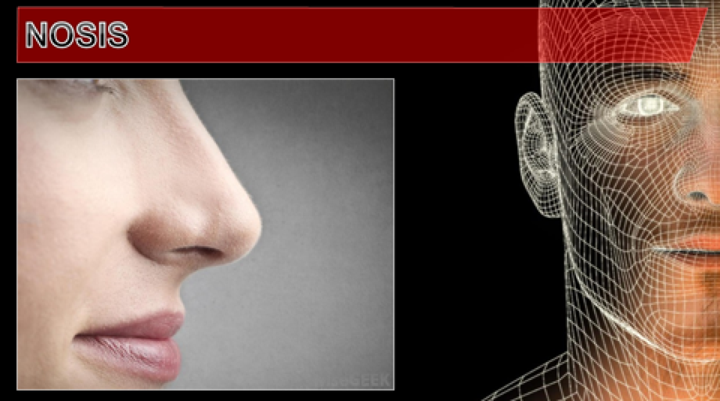 Veidoskaita: Nosis